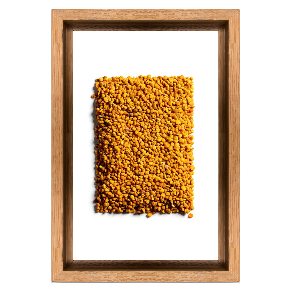 PHOTOGRAPHIE - Pollen – Milouin.com